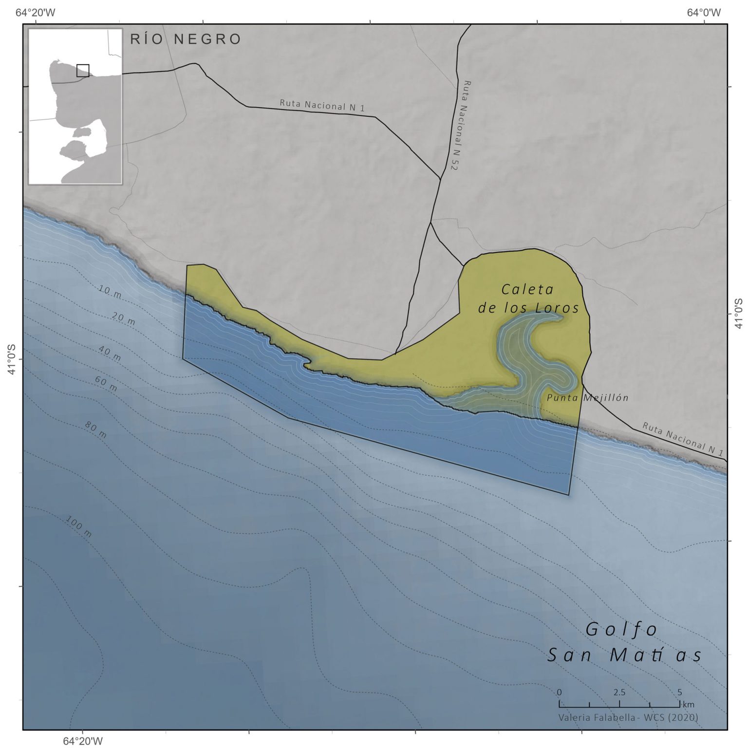Caleta de los Loros-Pozo Salado-Punta Mejillón - AMP Argentina