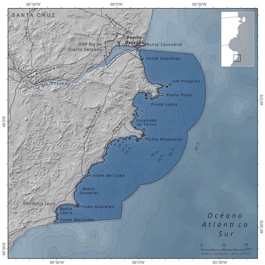 Isla Pingüino - AMP Argentina