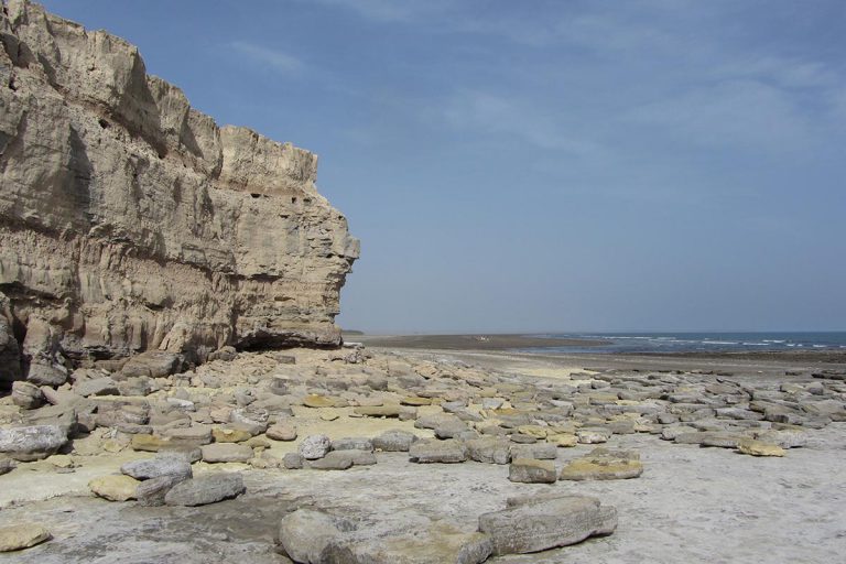 Caleta de los Loros, Pozo Salado y Punta Mejillón - AMP Argentina