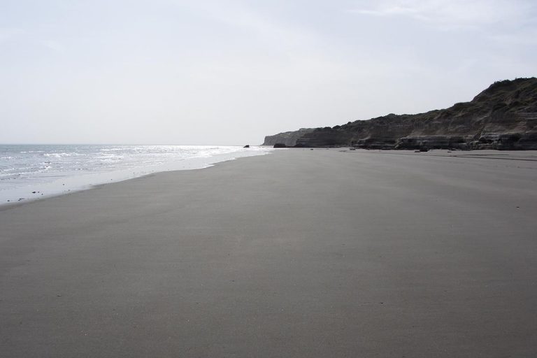Caleta de los Loros, Pozo Salado y Punta Mejillón - AMP Argentina