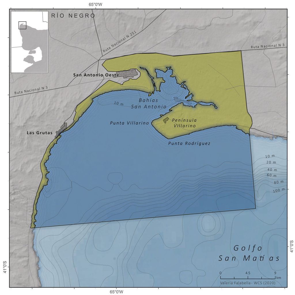 Bahía de San Antonio - AMP Argentina