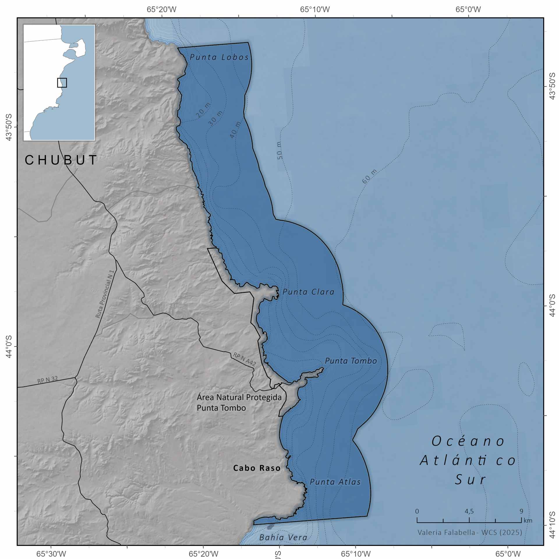 Punta Tombo Marina - AMP Argentina