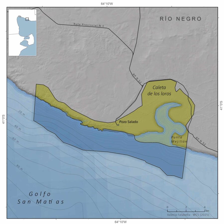 Caleta de los Loros-Pozo Salado-Punta Mejillón - AMP Argentina