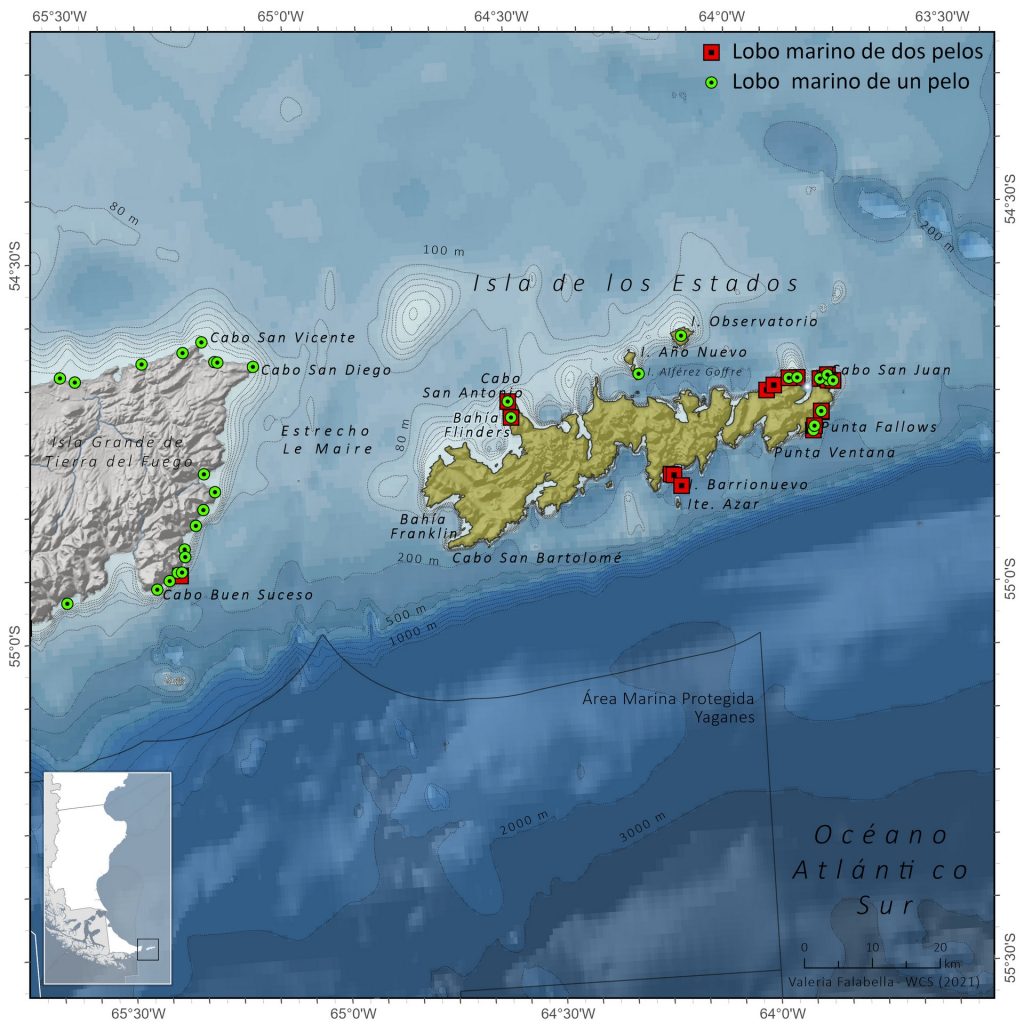 Isla de los Estados y Archipiélago de Año Nuevo - AMP Argentina