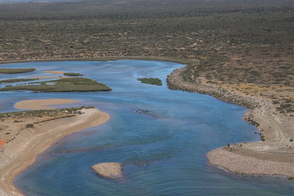 Puerto Lobos - AMP Argentina