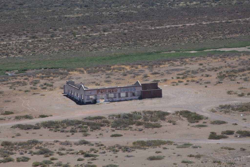 Puerto Lobos - AMP Argentina