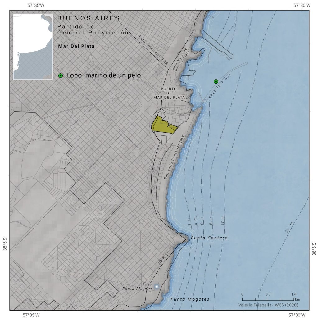 Puerto Mar del Plata - AMP Argentina