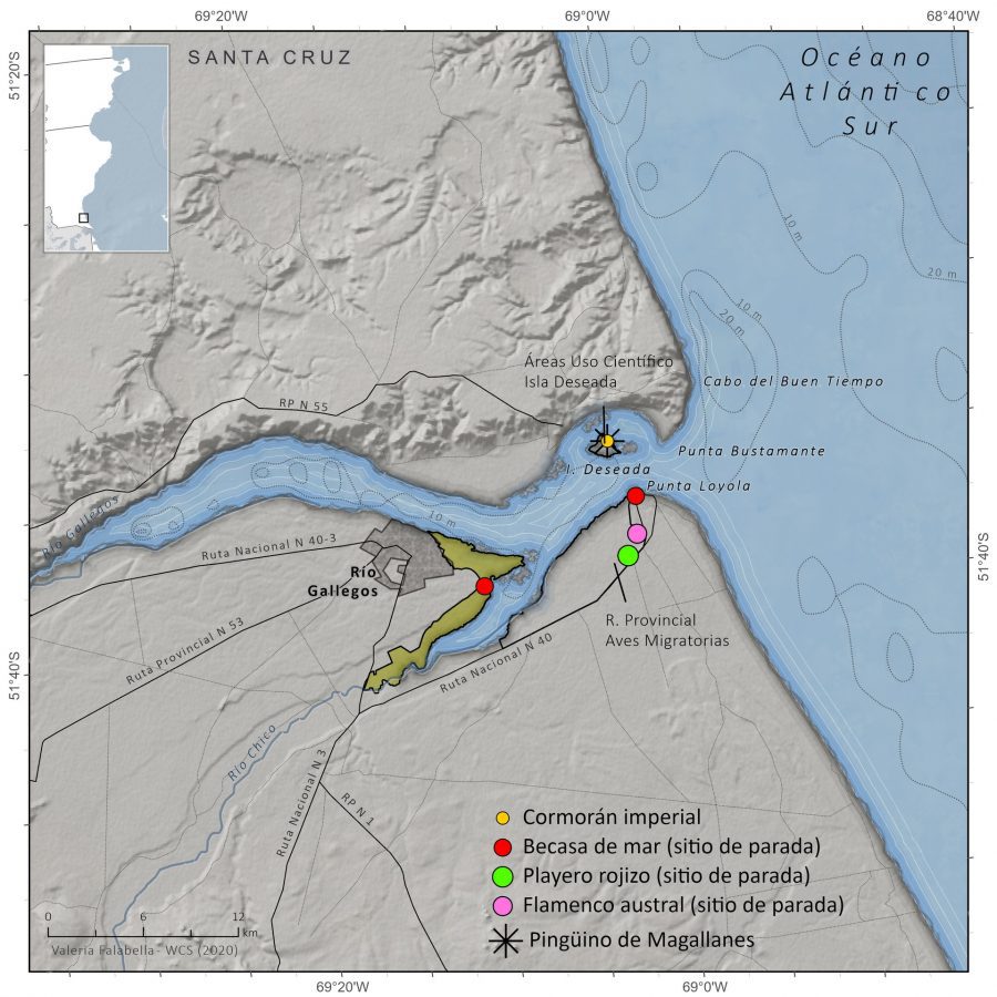 Río Gallegos - AMP Argentina
